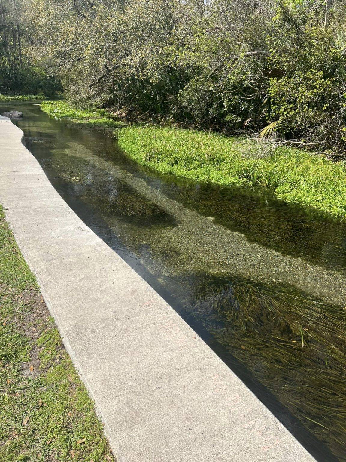 Kelly Park: Everything You Need to Know - STATE PARKS USA