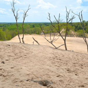 Warren Dunes State Park - STATE PARKS USA
