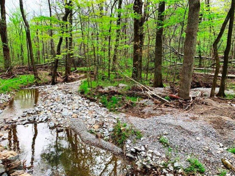 Radnor Lake State Park - STATE PARKS USA