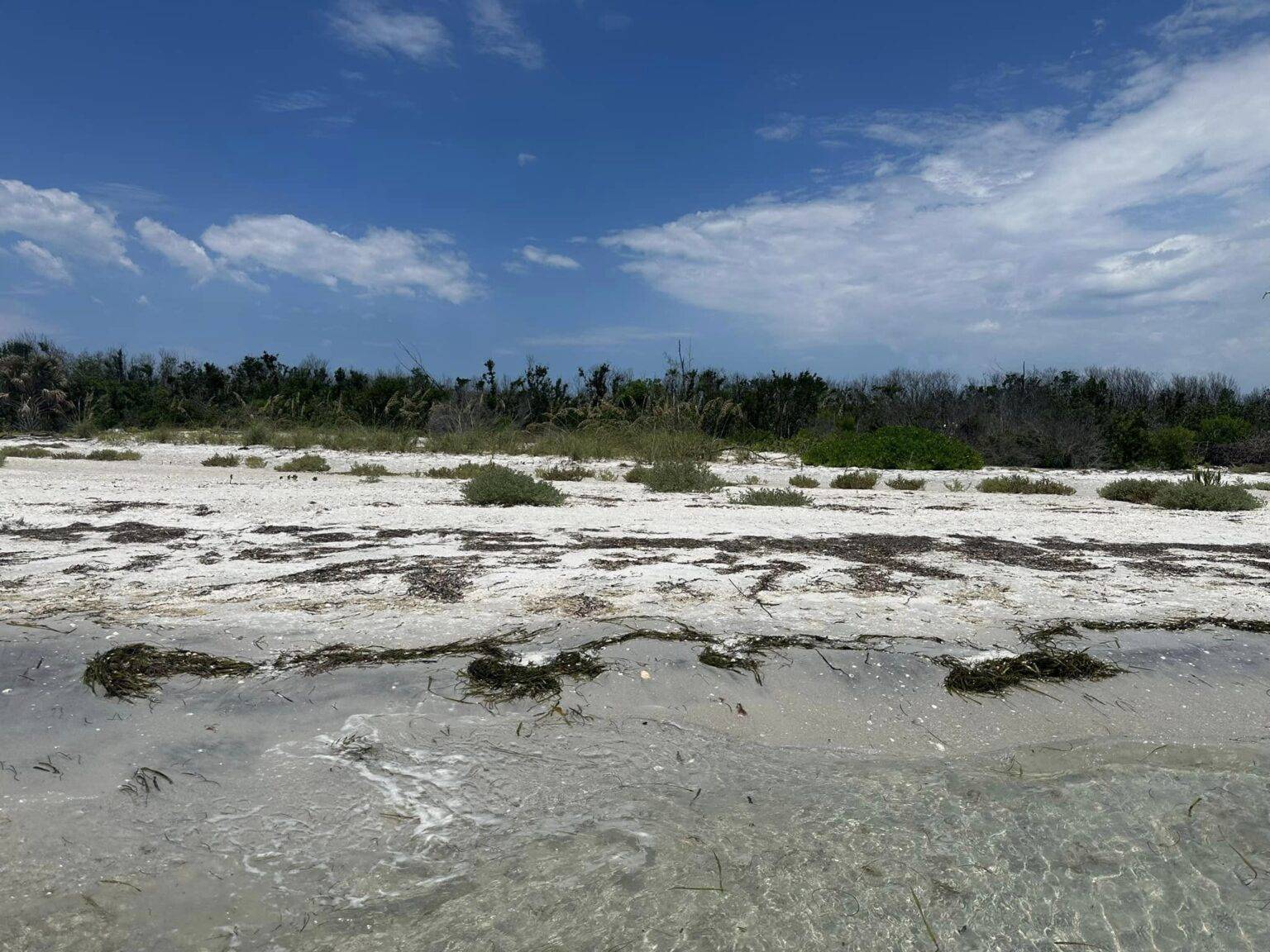Cayo Costa State Park - STATE PARKS USA