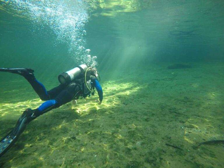 BLUE SPRING STATE PARK - STATE PARKS USA